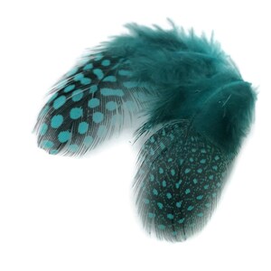 Polka Dot Feathers 14 Lb Peacock Blue Guinea Hen Plumage Polka Dot 4905