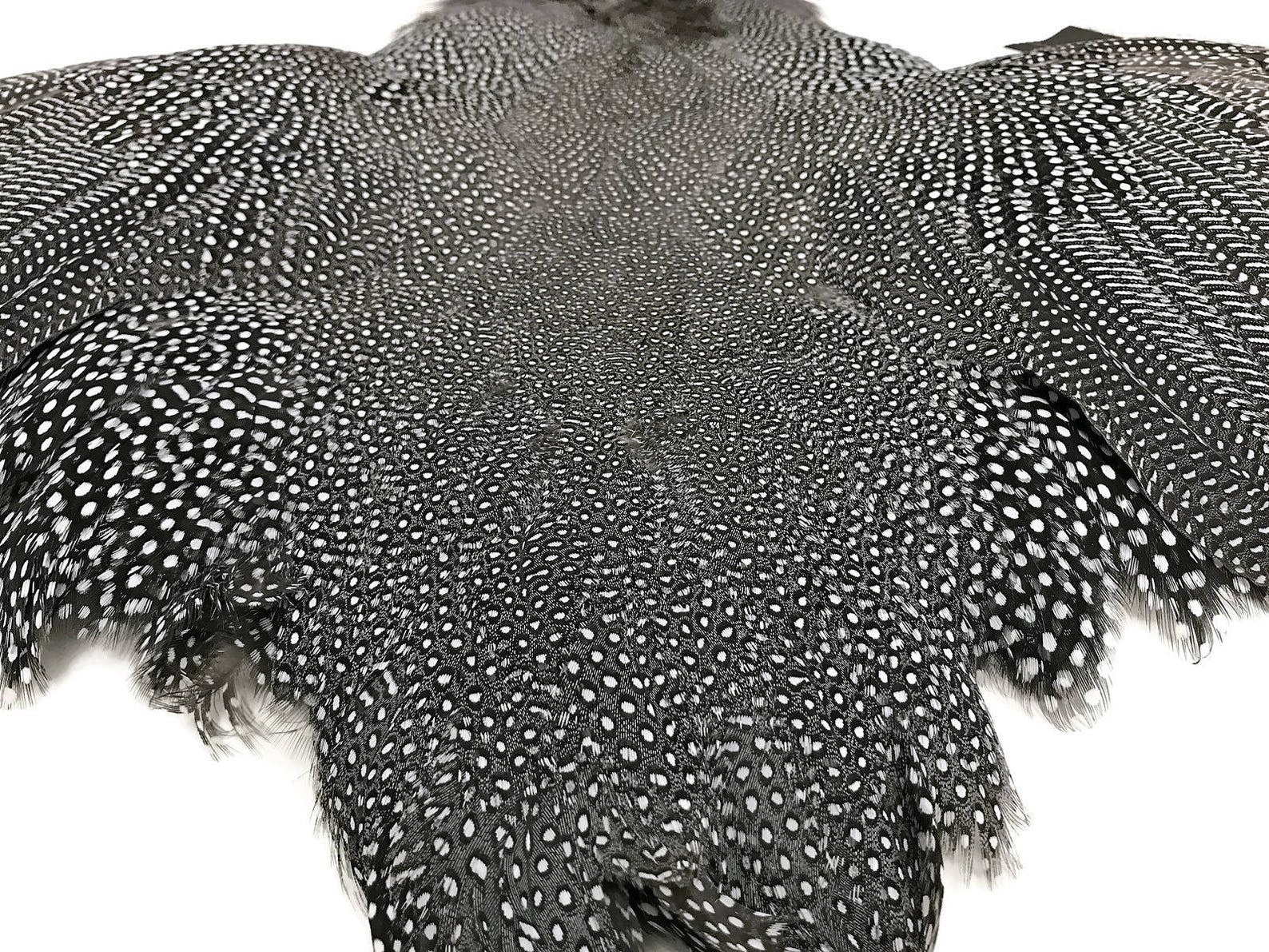 Pelt 1 Piece Guinea Fowl Natural Polka Dot With Wing - Etsy