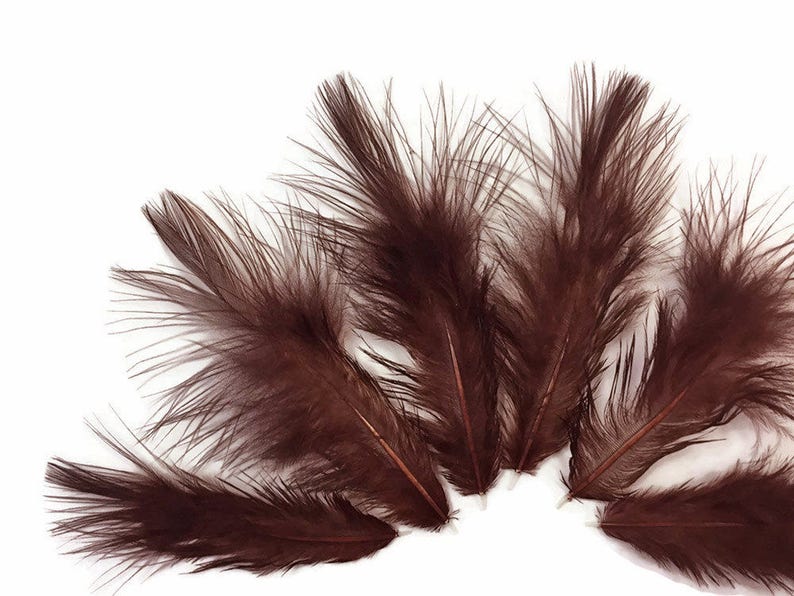 Fluffy Feathers 1 Dozen Solid Brown Rooster Fluff Chickabou | Etsy