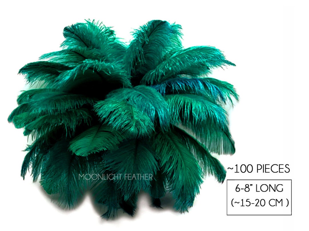 Ostrich Feathers, 100 Pieces - 6-8" Peacock Green Ostrich Drabs Body ...