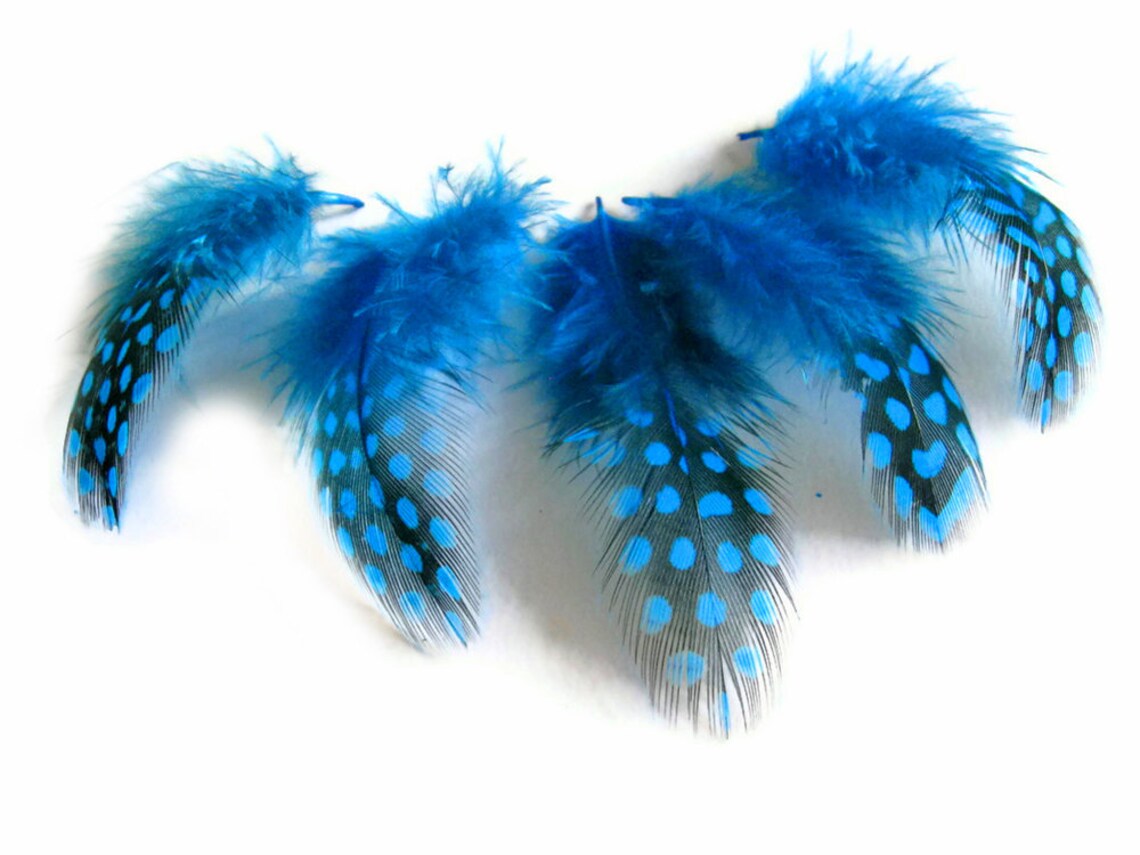 Polka Dot Feathers, 1 Pack - Turquoise Blue Guinea Hen Polka Dot ...