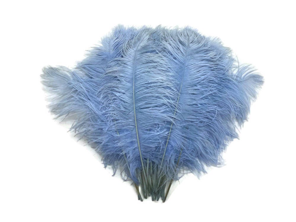 Plumes d'autruche 10 pièces 12-16 Bleu clair | Etsy