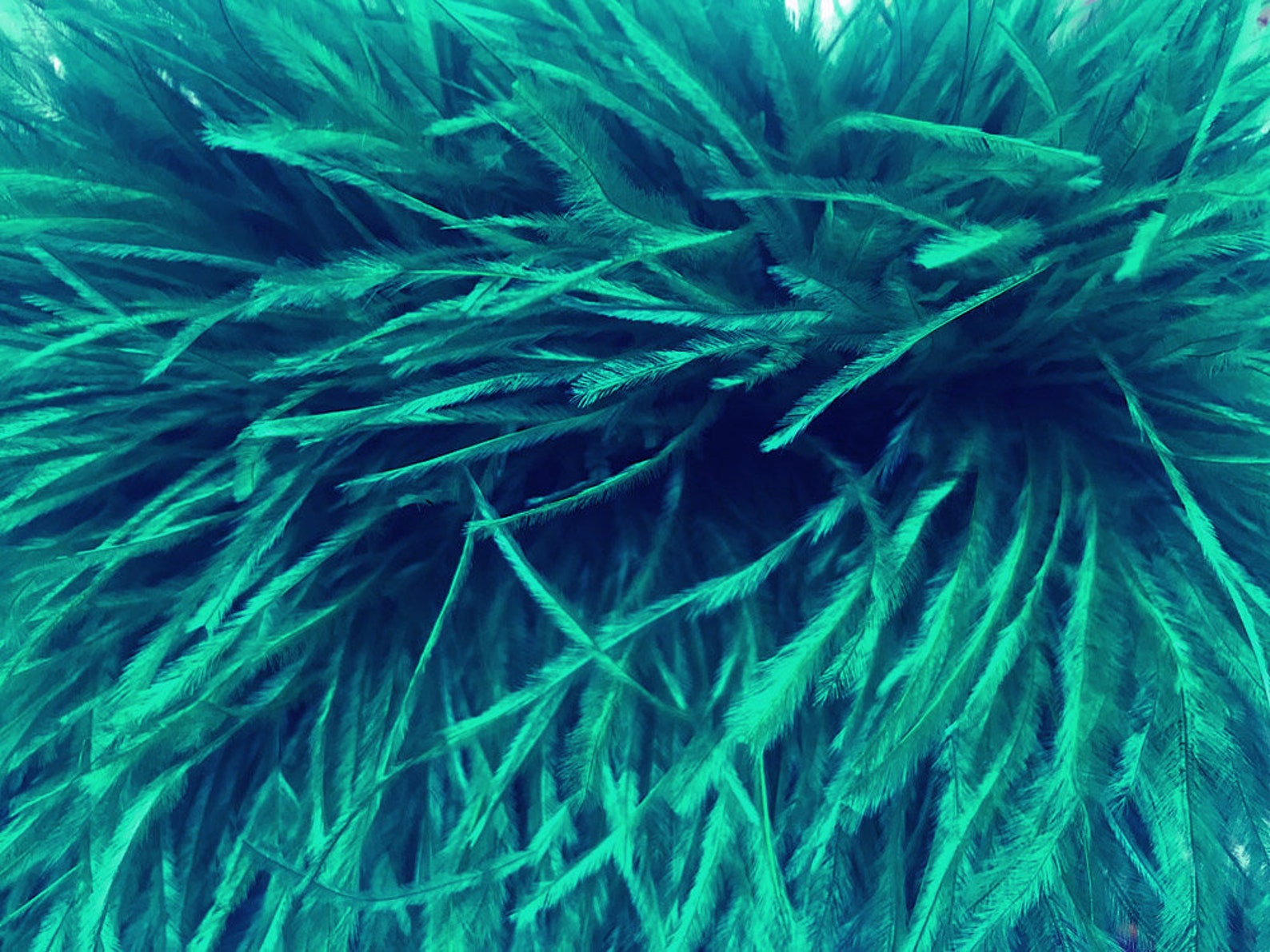 Ostrich Fringe 1 Yard Ocean Green Ostrich Fringe Trim | Etsy