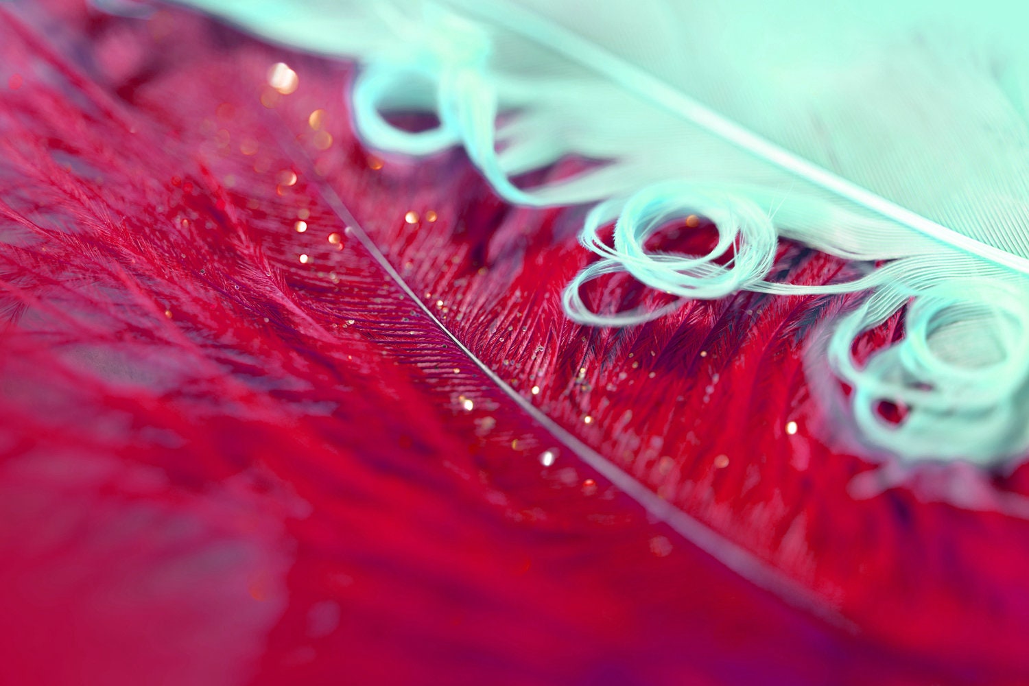 200 Feathers 9-13 Burgundy Ostrich Drab Body Plumage | Etsy