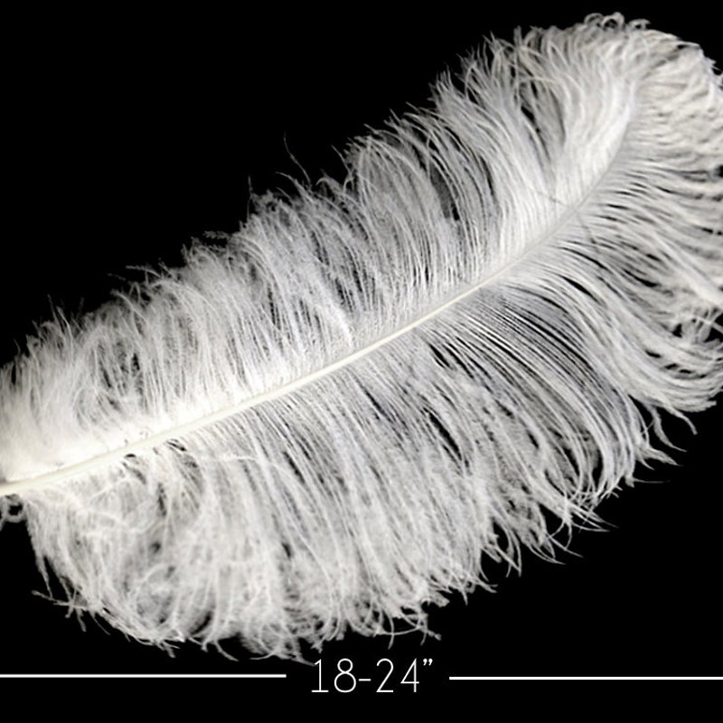 Large Feathers - Etsy