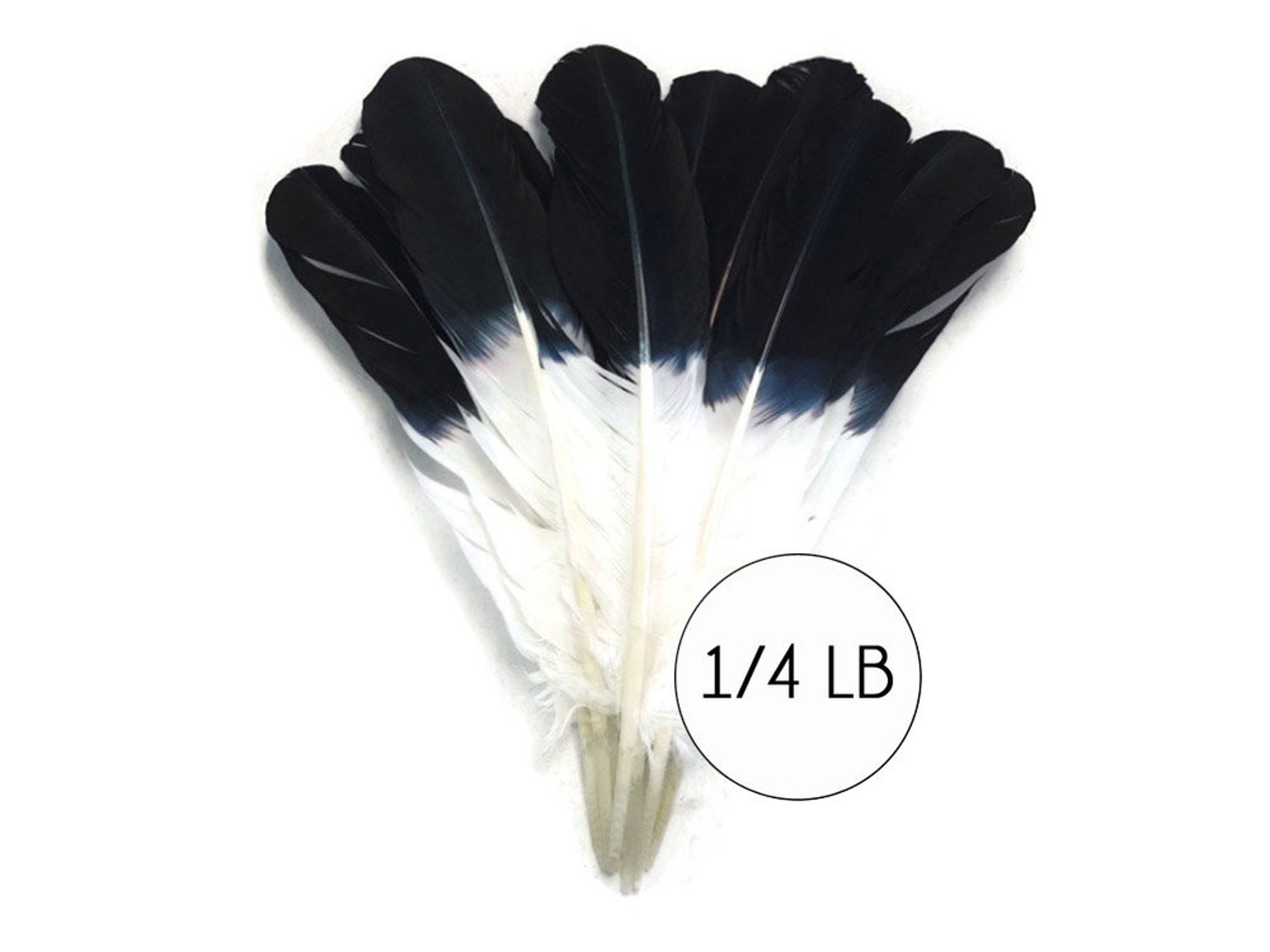 Imitation Eagle Feathers 1/4 Lbs. Black Tipped Tom Turkey - Etsy