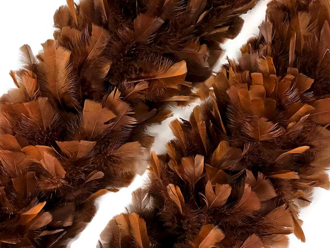 Turkey Feather Boa, 2 Yards - Brown Turkey Flat Heavyweight Feather Boa ...