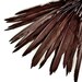 Goose Feathers, 10 Pieces - Brown Goose Pointers Long Primaries Wing ...