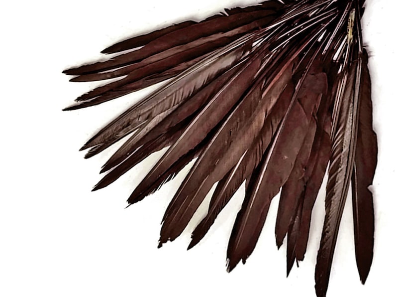 Goose Feathers 10 Pieces Brown Goose Pointers Long | Etsy