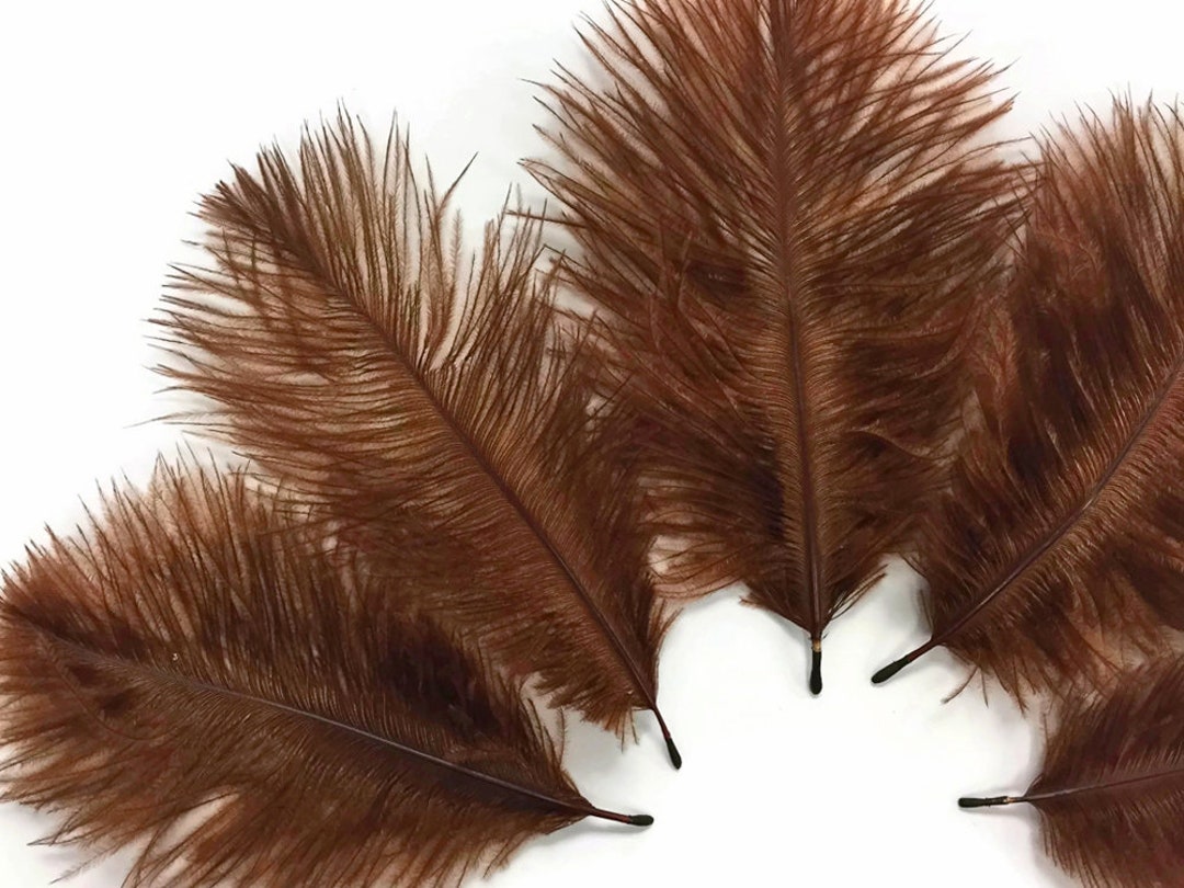 Mini Feathers, Wholesale Pack - Brown Small Ostrich Confetti Feathers ...
