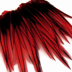 Red Laced Pointy Feathers, 10 Pieces - Red Dyed BLW Laced Short Rooster ...