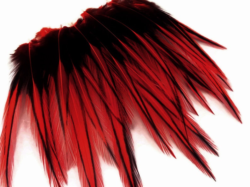 Red Laced Pointy Feathers, 10 Pieces - Red Dyed BLW Laced Short Rooster ...