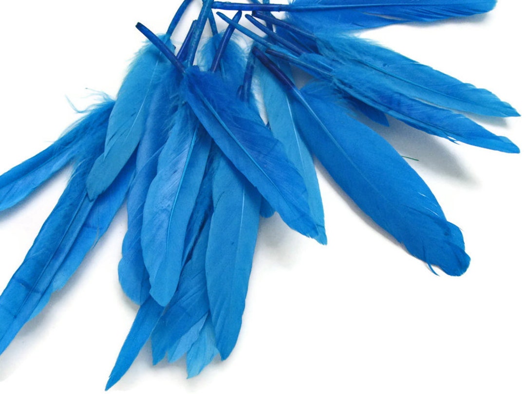 Blue Duck Feathers, 500 Pieces - Turquoise Blue Duck Cochettes ...