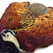 Feather Supply, 1 Piece COMPLETE NATURAL Ringneck Pheasant Skin Pelt ...