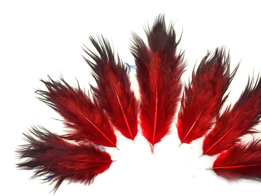 Fluffy Feathers, 1 Dozen - Solid Red & Black Rooster Chickabou Fluff ...