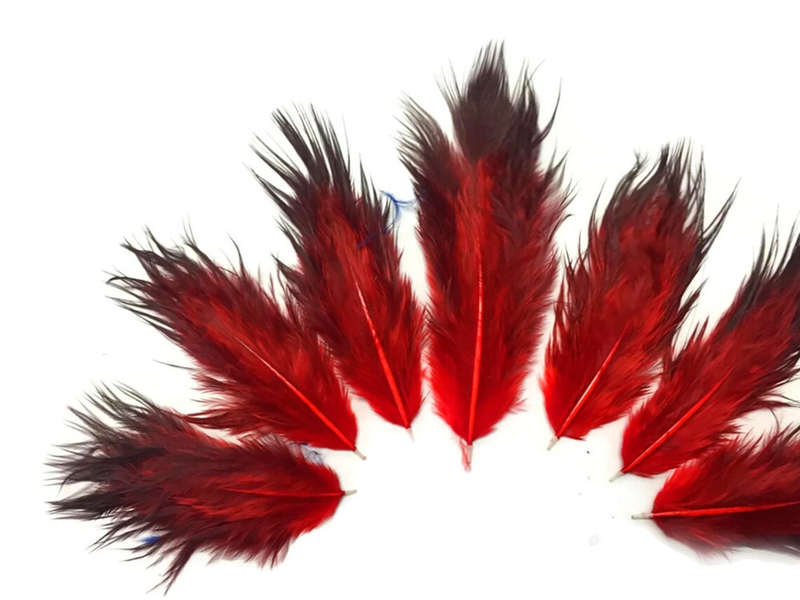 Fluffy Feathers, 1 Dozen - Solid Red & Black Rooster Chickabou Fluff ...