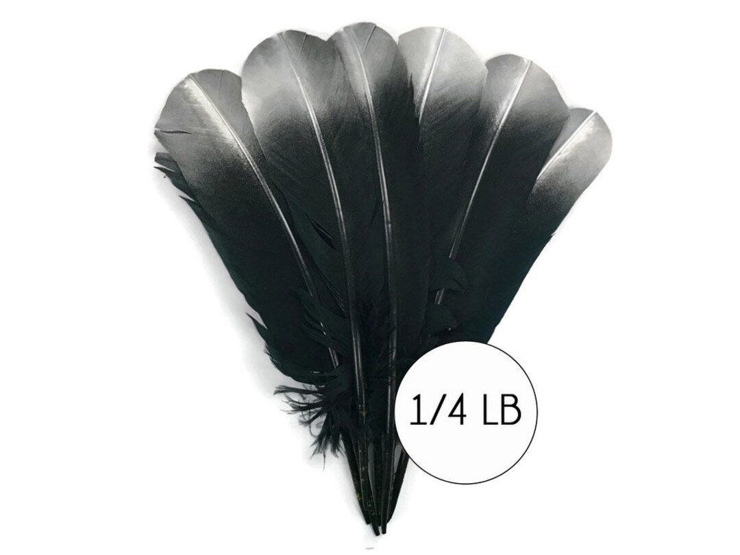 1/4 Lbs. - Silver Metallic Spray Paint Over Black Tipped Tom Turkey ...