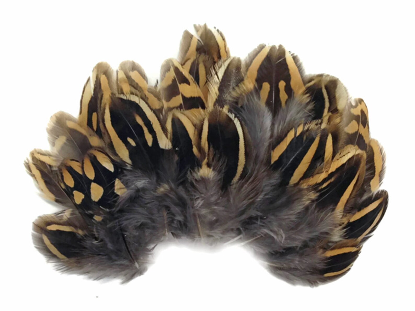 Chukar Feathers, 10 Pieces - NATURAL BROWN Partridge Small Plumage ...