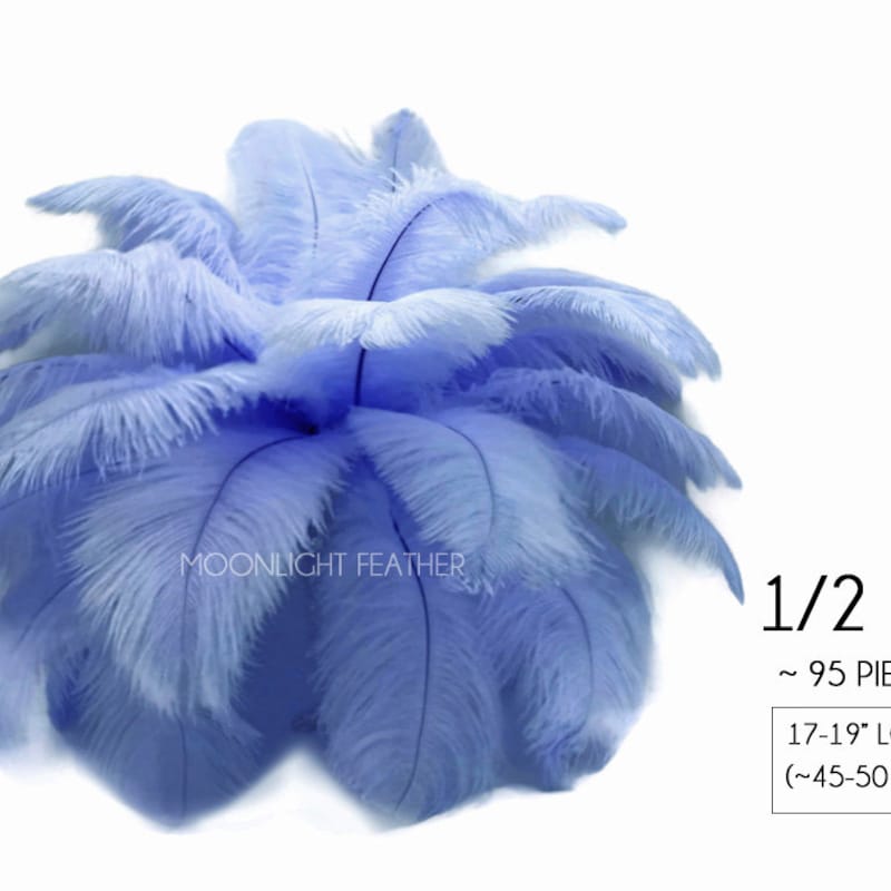 Emu Halloween Costume - Etsy