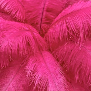 Pink Ostrich Feathers, 10 Pieces - 19 - 24" Hot Pink Ostrich Dyed Drabs ...