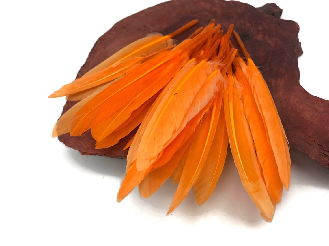 Duck Feathers, 1 Pack - Orange Duck Cochettes Loose Feathers 0.30 Oz ...