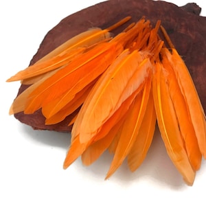 Duck Feathers, 1 Pack - Orange Duck Cochettes Loose Feathers 0.30 Oz ...