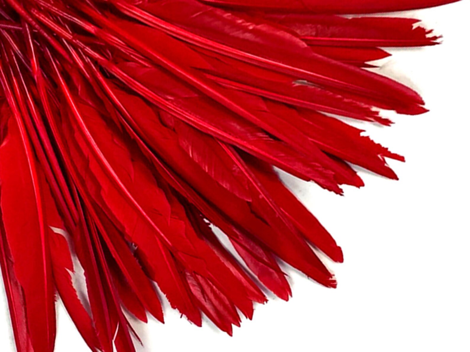 Goose Feathers 1/4 Lb. Red Goose Pointers Long Primaries - Etsy