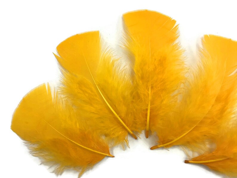 Turkey Feathers 1/4 Lbs. Golden Yellow Dyed Turkey T-Base | Etsy