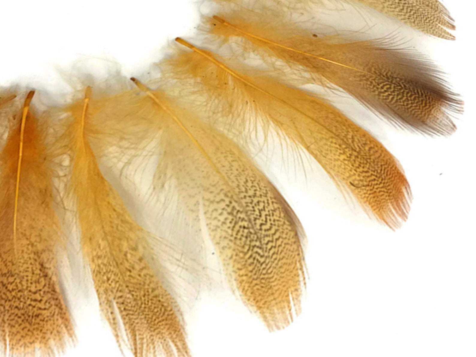 1 Pack Gold Mallard Duck Flank Plumage Feathers 0.10 Oz. Fly - Etsy