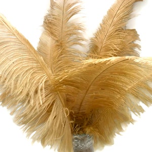 Super Long Feathers, 10 Pieces - 20-28" Antique Gold Ostrich Feather ...