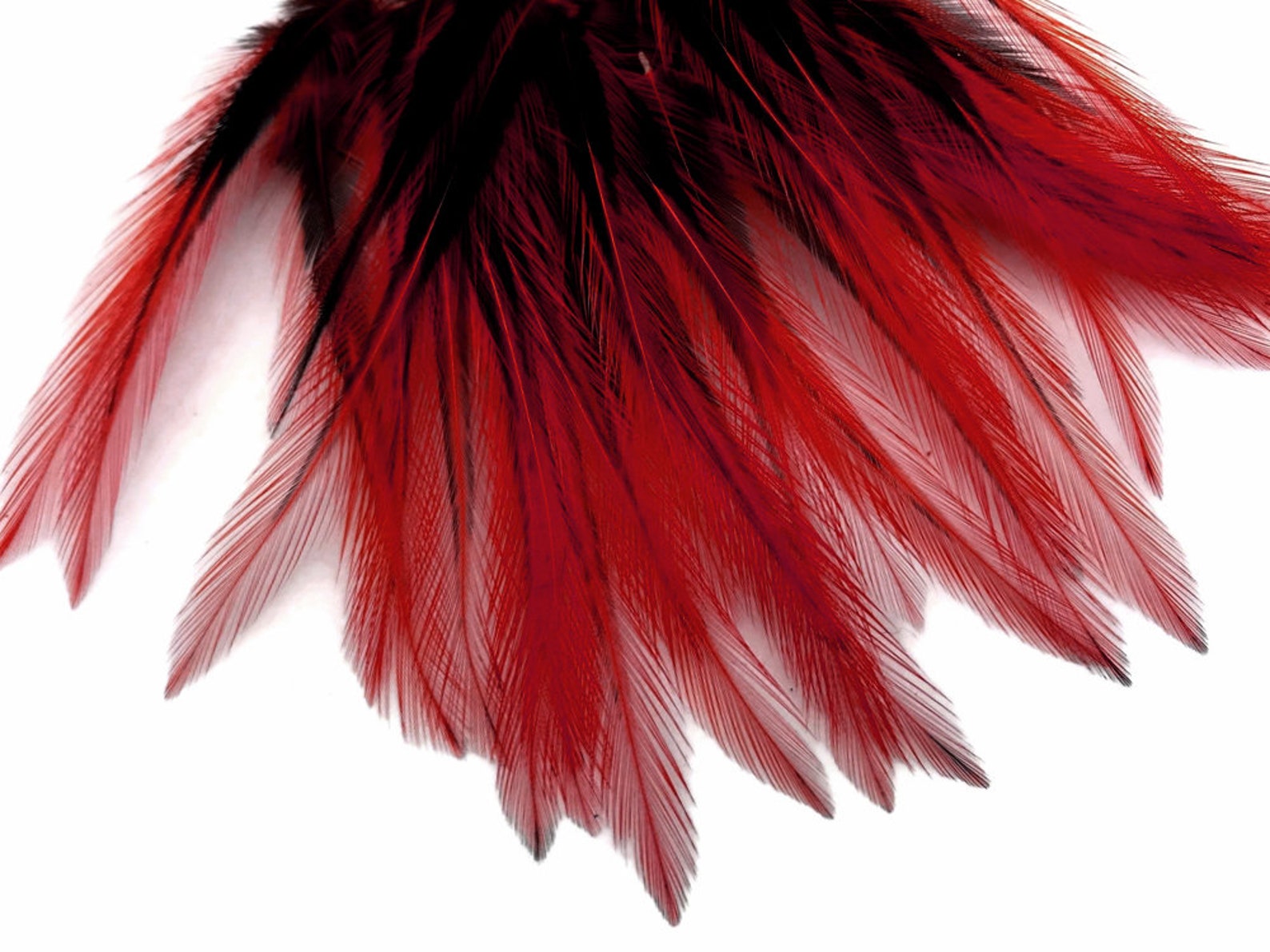 Red Laced Pointy Feathers, 10 Pieces - Red Dyed BLW Laced Short Rooster ...