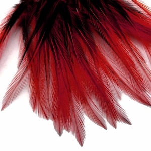 Red Laced Pointy Feathers, 10 Pieces - Red Dyed BLW Laced Short Rooster ...