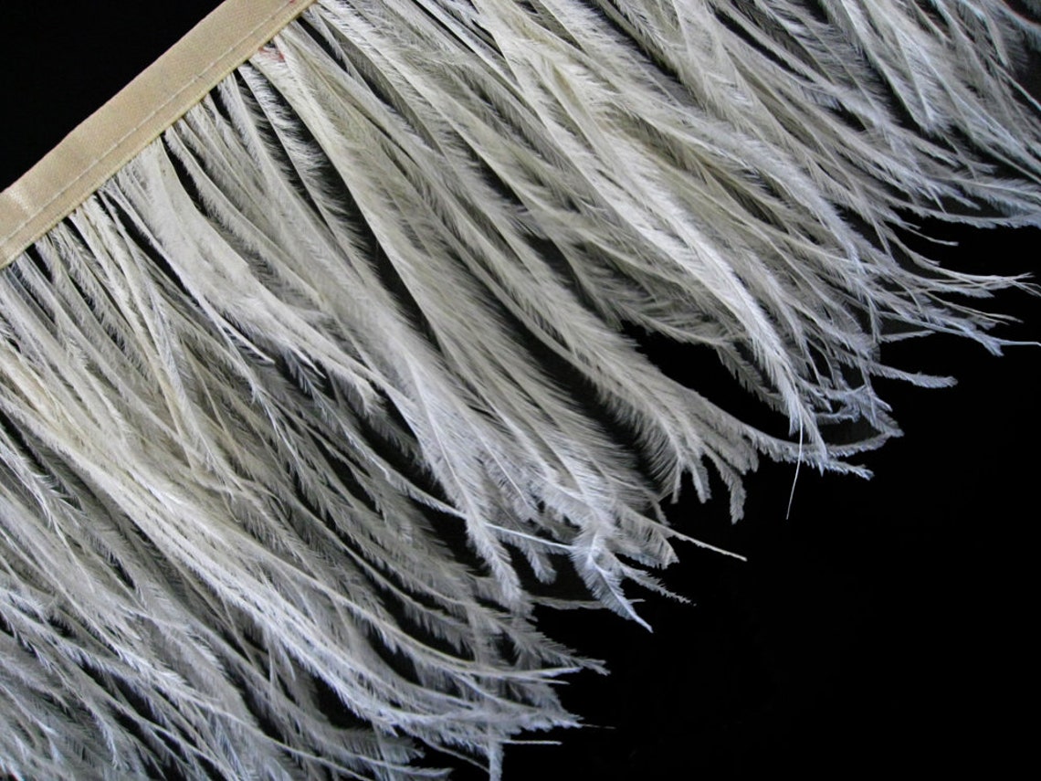 Feather Trim, 6 Inch Strip - Ivory Ostrich Fringe Trim Feather Craft ...