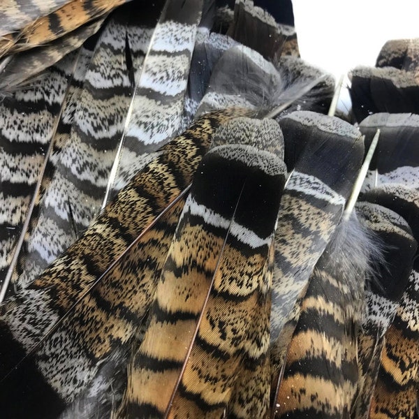 Grouse Feathers - Etsy