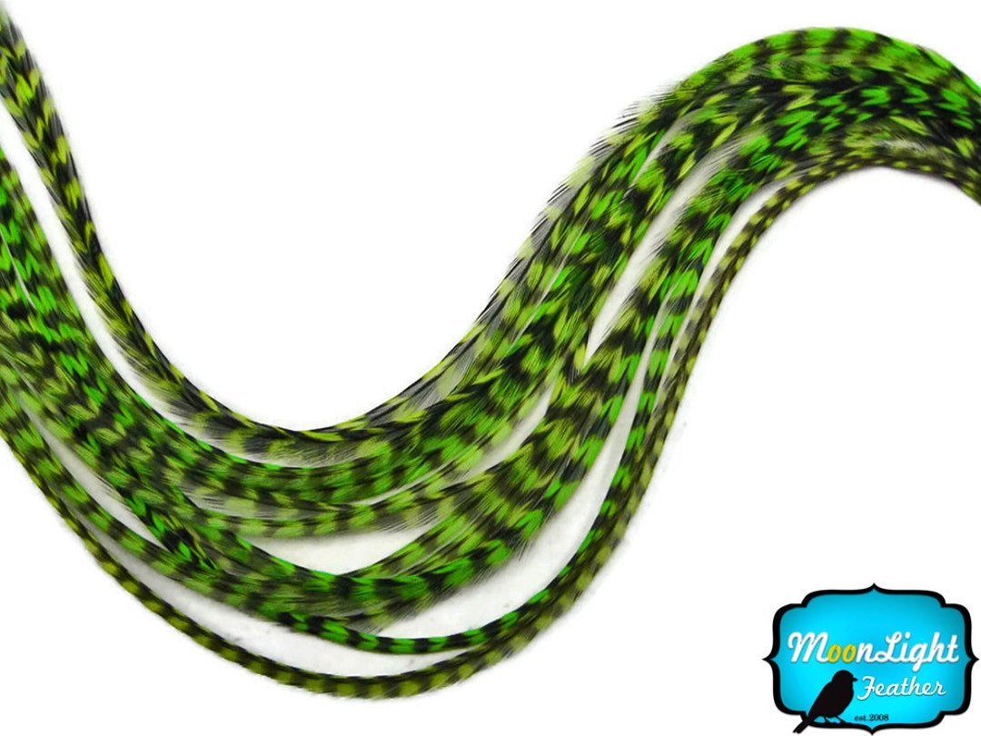 Green Hair Feathers, 6 Pieces - Extra Long XL Lime Green Thin Grizzly ...