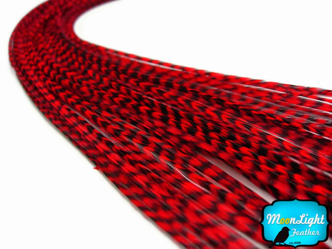 Red Hair Feathers, 6 Pieces - XL Red Thin Grizzly Extra Long Rooster ...