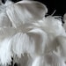 Feather Supply, 1 Piece - COMPLETE NATURAL Ringneck Pheasant Skin Pelt ...