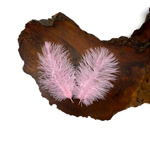 Mini Ostrich Feathers, 1 Pack - Light Pink Ostrich Small Confetti ...