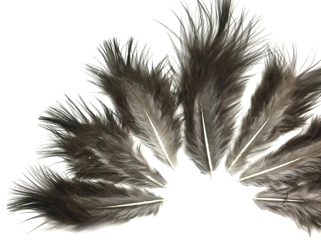 Rooster Fluffs, 1 Dozen - Natural Black Rooster Chickabou Fluff ...