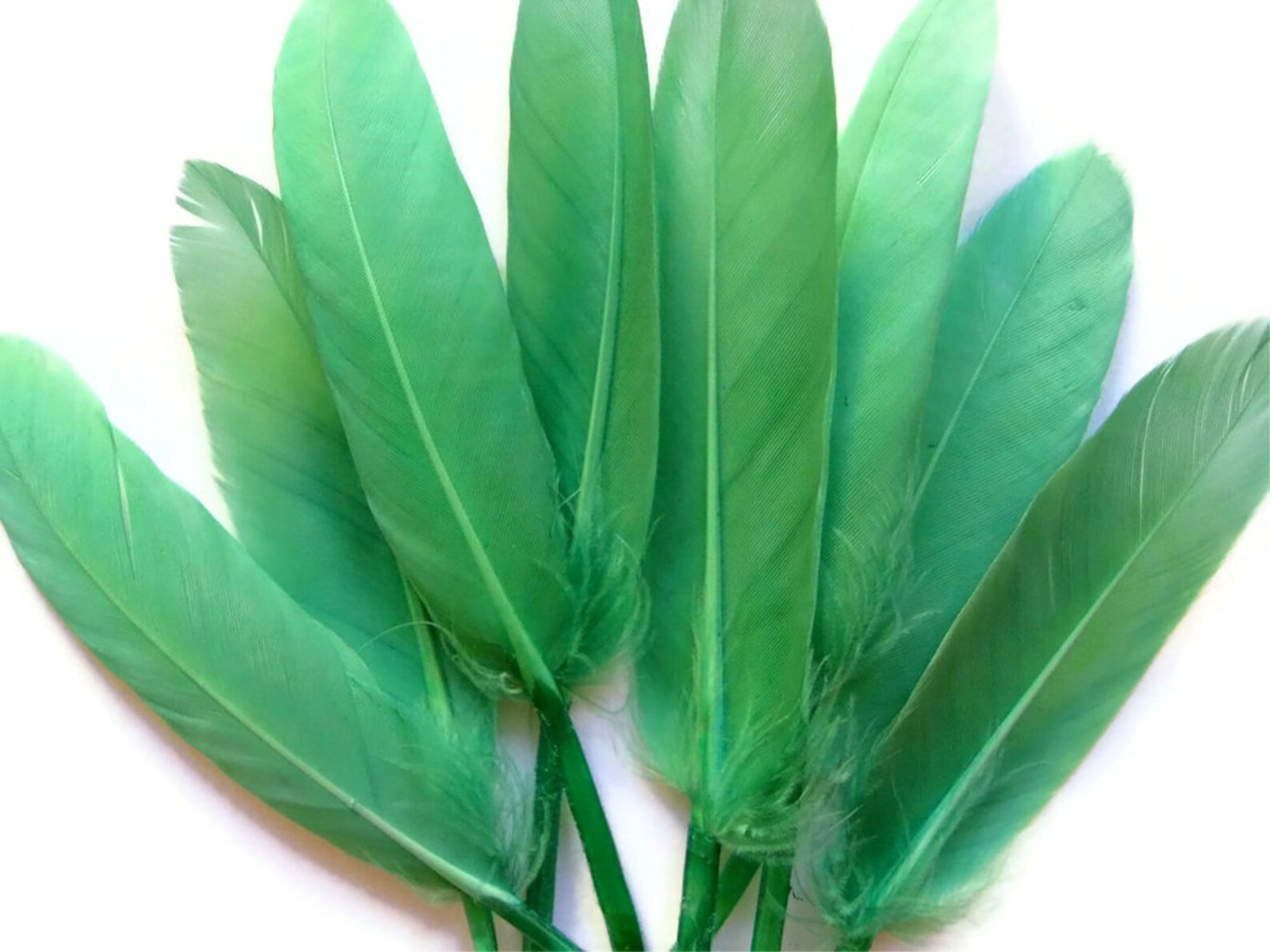 Duck Feathers, 1 Pack - Aqua Green Duck Cochettes Loose Feathers 0.30 ...