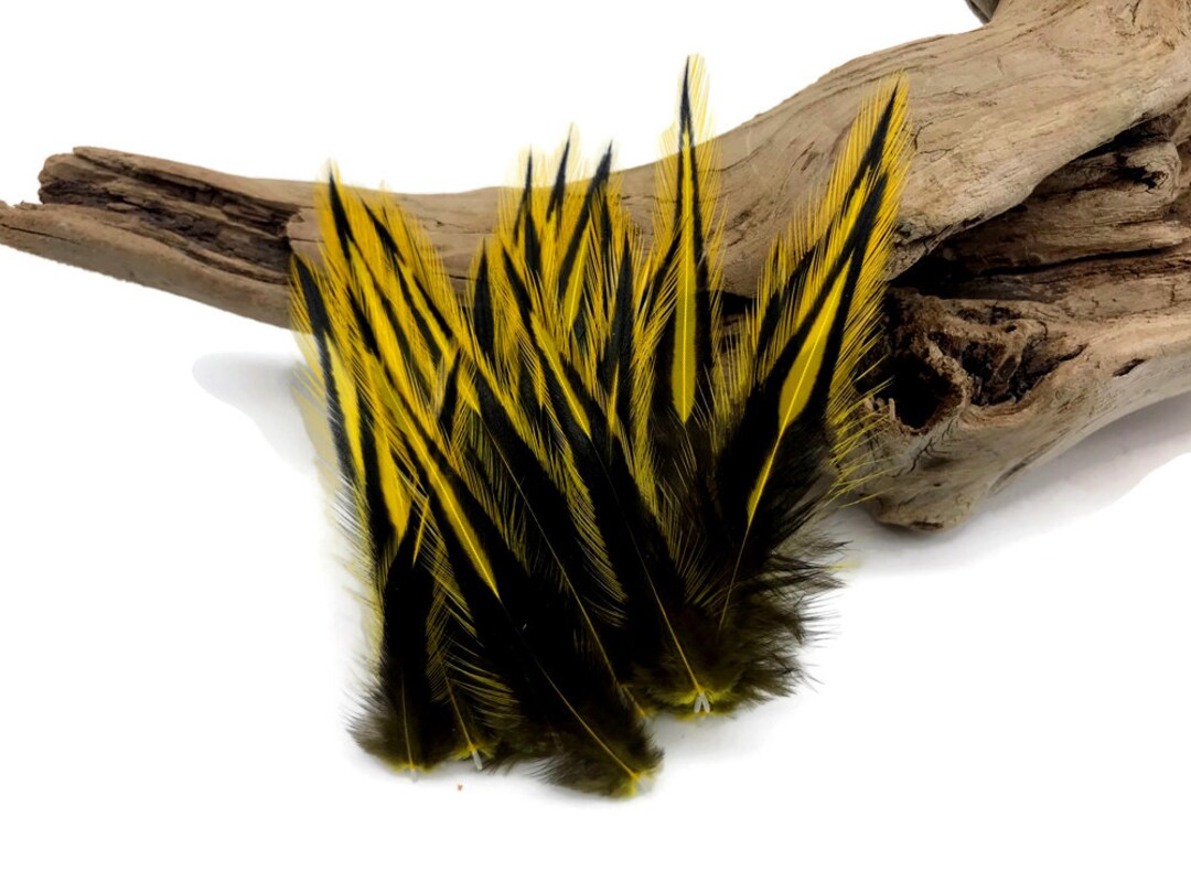Rooster Feathers, 10 Pieces - Sunshine Yellow Dyed BLW Laced Short ...