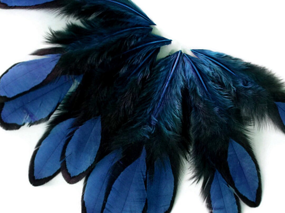 USA Laced Feathers, 1 Dozen - Navy Blue Whiting Farms Laced Hen Saddle ...