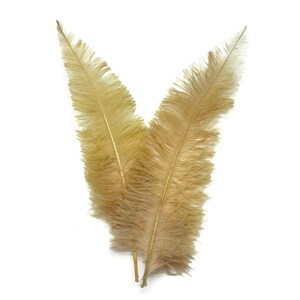 Super Long Feathers, 10 Pieces - 20-28" Antique Gold Ostrich Feather ...