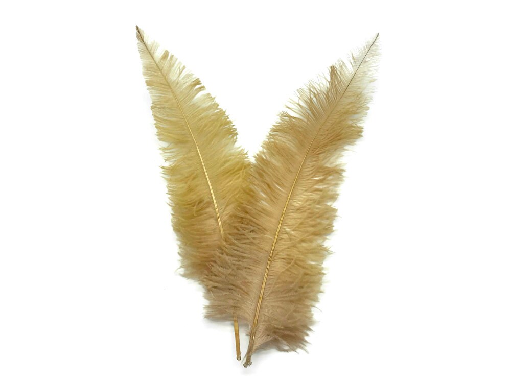 Super Long Feathers, 10 Pieces - 20-28" Antique Gold Ostrich Feather ...