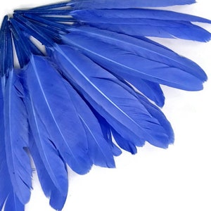 Blue Duck Feathers, 1 Pack - Sky Blue Duck Cochettes Loose Feathers 0. ...