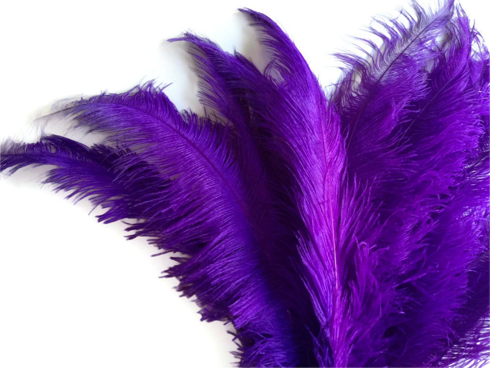 Ostrich Feathers 10 Pieces 20-28 Purple Ostrich | Etsy