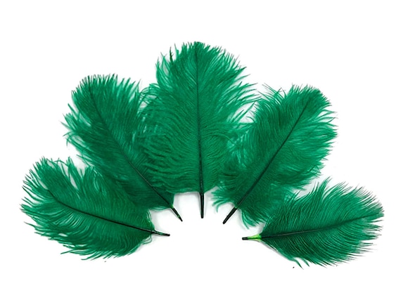 Green ostrich feathers store