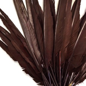 Goose Feathers, 10 Pieces - Brown Goose Pointers Long Primaries Wing ...