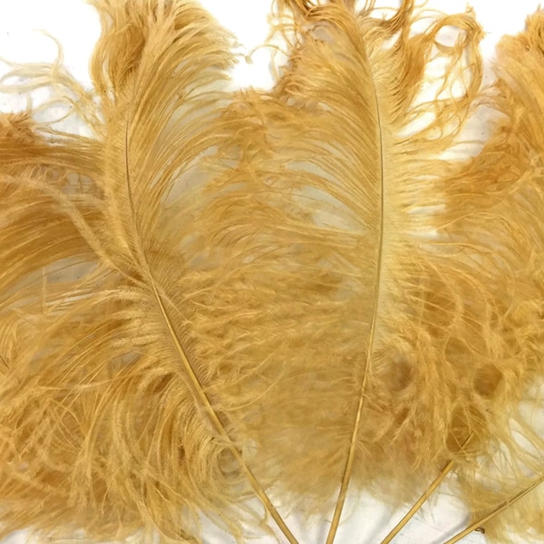 Fancy Feathers - Etsy
