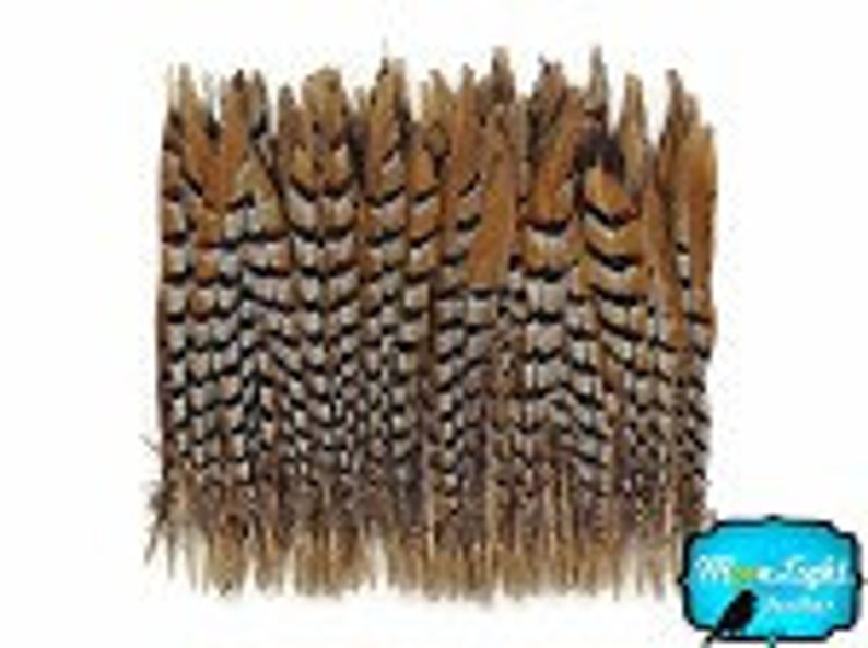 Extra Long Feathers, 10 Pieces - 16-18" Natural Reeves Venery Pheasant ...